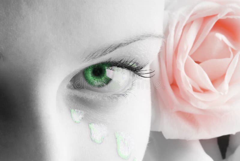 Green eye red rose stock photo. Image of caucasian, beautiful - 4704954