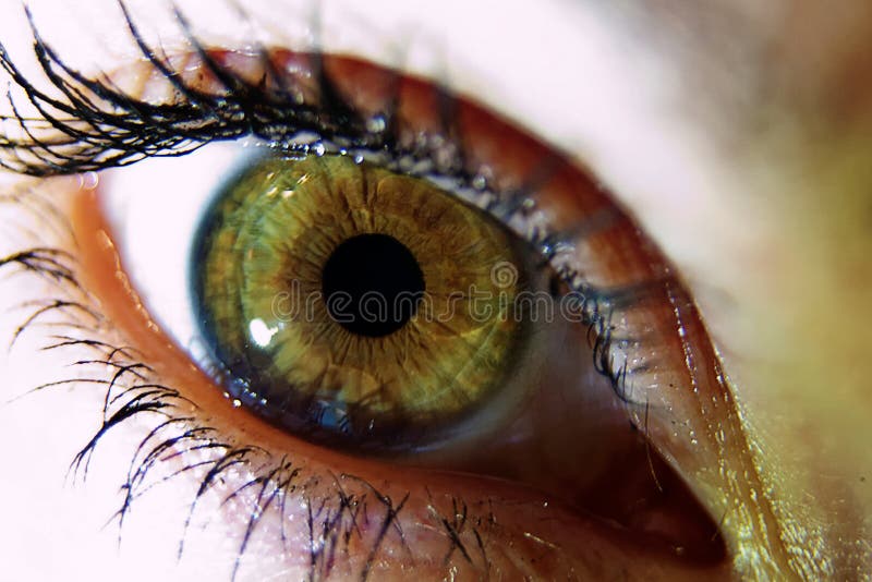 Home security stock photo. Image of access, burglary - 29753652