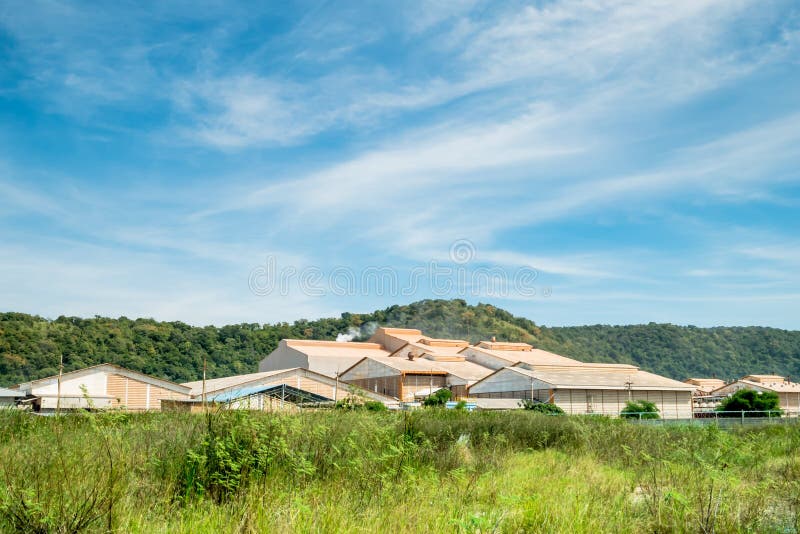 Green factory stock image. Image of feed, country, natural - 80944107