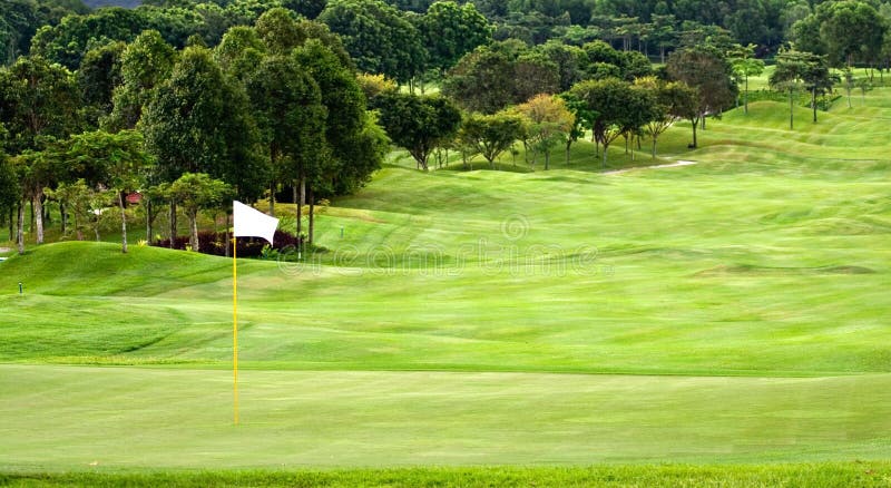 Green Fairway stock image. Image of golf, fairway, afternoon - 2415309