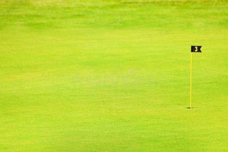 Green Fairway of Golf Course with Pin and Cup Stock Photo - Image of ...