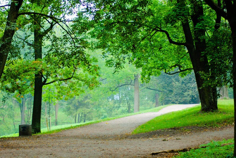 Green fall stock photo. Image of autumn, petersburg, region - 70423180