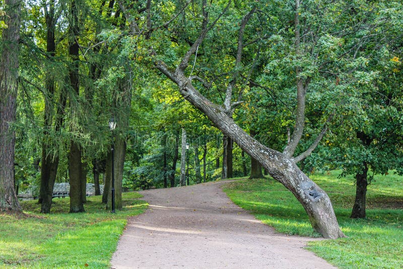 Green fall stock image. Image of summer, september, park - 70423233