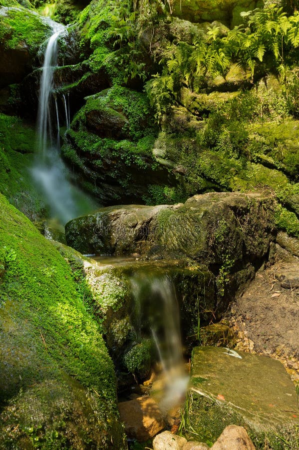 Green Falls stock image. Image of switzerland, forest - 35065407