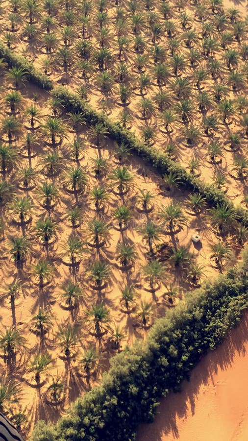 Green farm editorial stock photo. Image of tree, green - 81132963