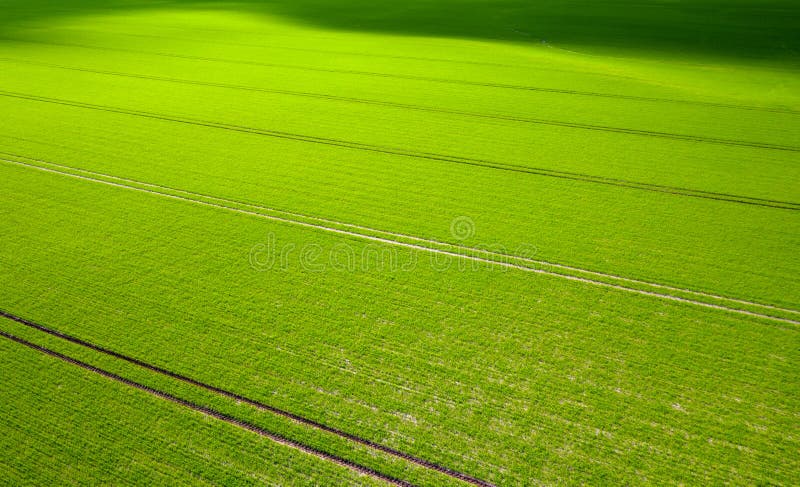Green farm field stock photo. Image of sunny, beautiful - 184490366