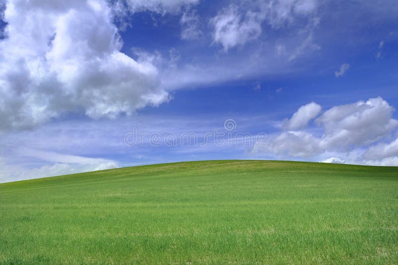 Green Farm Field Crops Blue Sky and Clouds Stock Image - Image of ...
