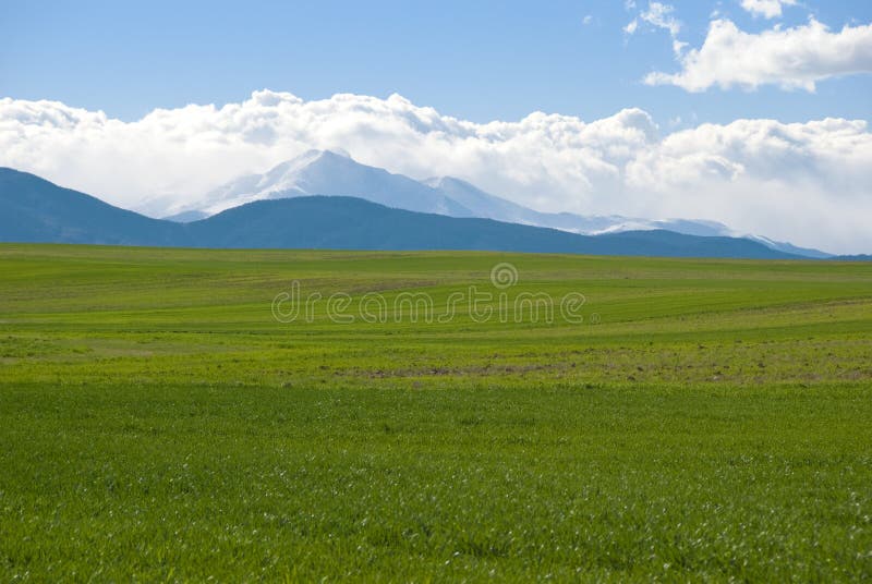 Green Farm Field and Distant Mountain Stock Image - Image of prairie ...