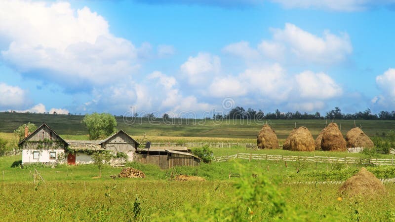 Green Farm stock photo. Image of natural, environment - 43778220