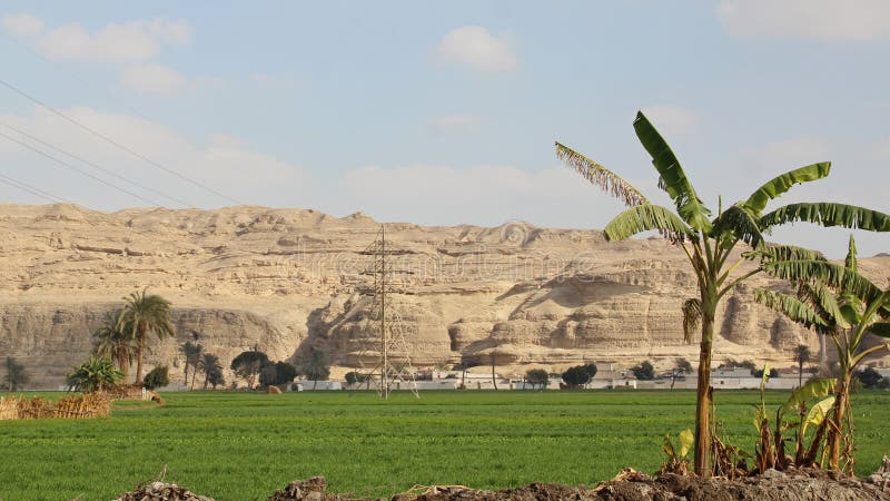 Minya Egypt Stock Photos - Free & Royalty-Free Stock Photos from Dreamstime