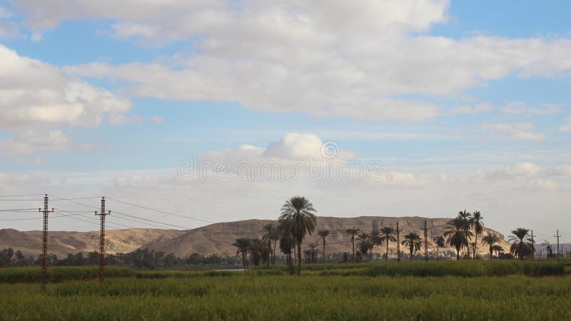 Minya Egypt Stock Photos - Free & Royalty-Free Stock Photos from Dreamstime