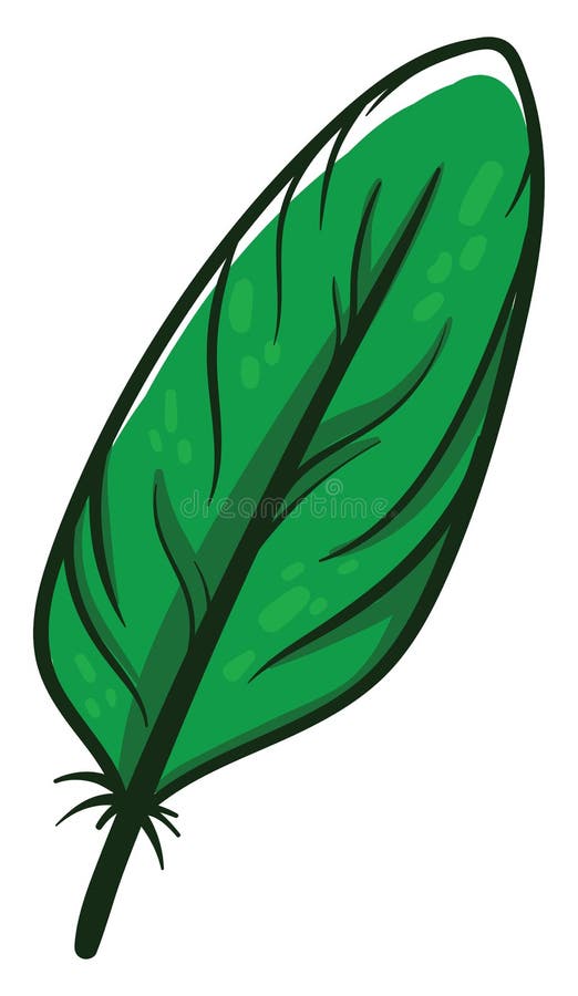 Green Feather Painting Vector or Color Illustration Stock Vector ...