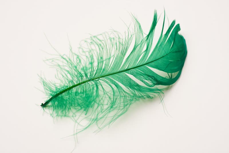 Green feather stock image. Image of concepts, avian, pattern - 63428169