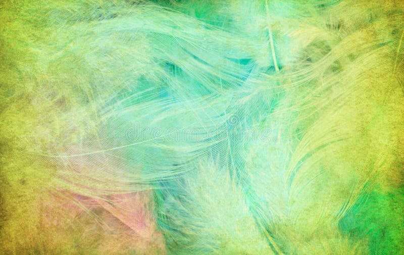Green feathers background stock photo. Image of digital - 204990000
