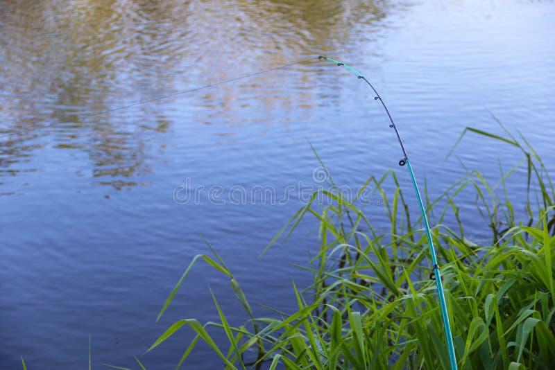 Feeder Fishing on a River, a Bow of a Big Fish Stock Image - Image of ...