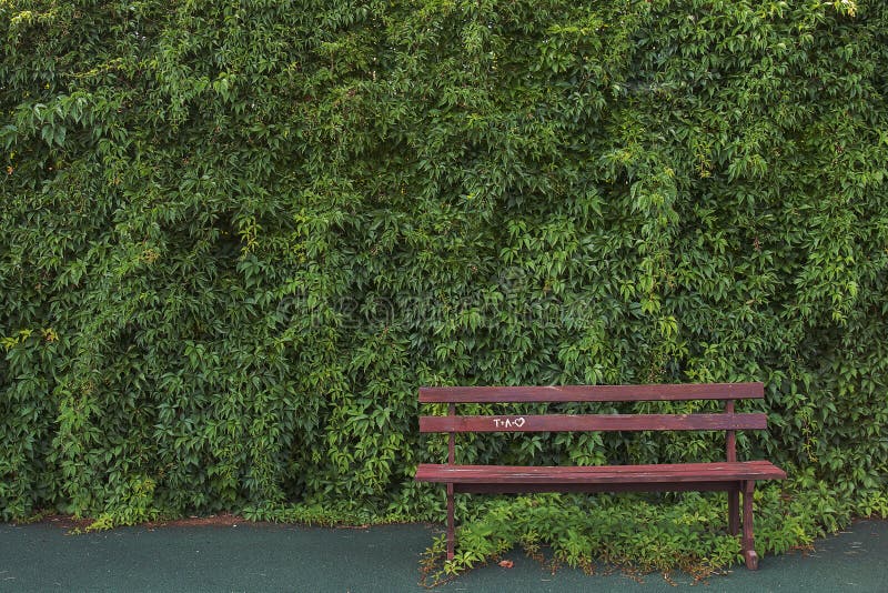 Green fence with a bench stock image. Image of texture - 154443905