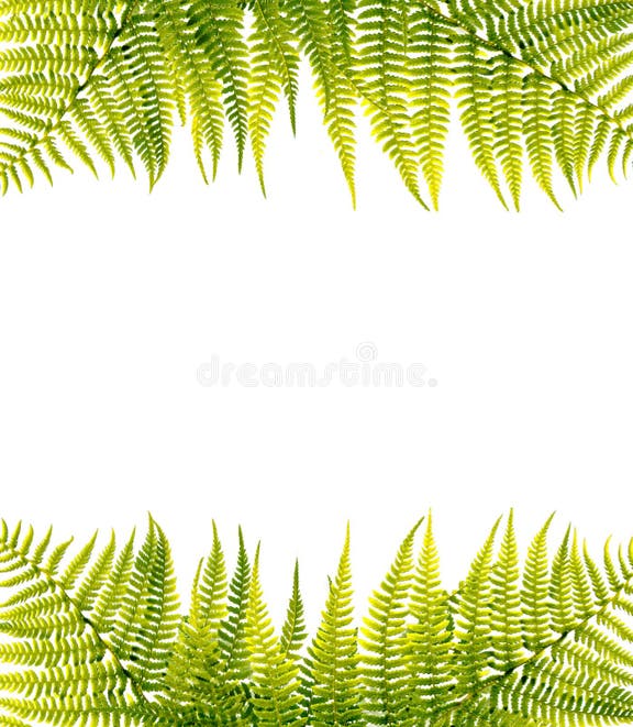 16,660 Vegetation Border Stock Photos - Free & Royalty-Free Stock ...