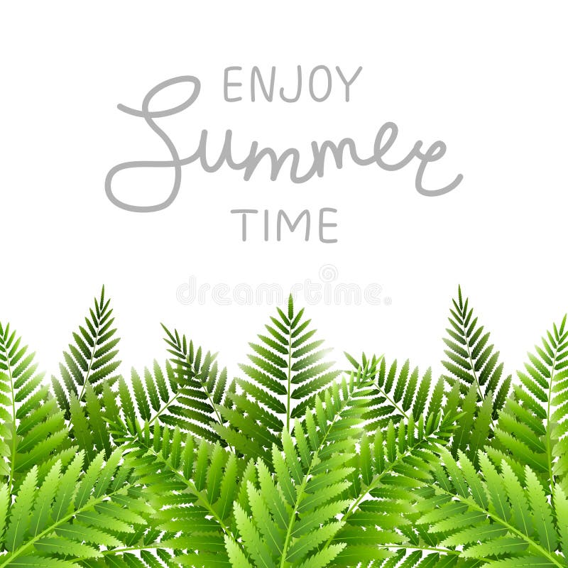 Fern Border Stock Illustrations – 7,426 Fern Border Stock Illustrations ...