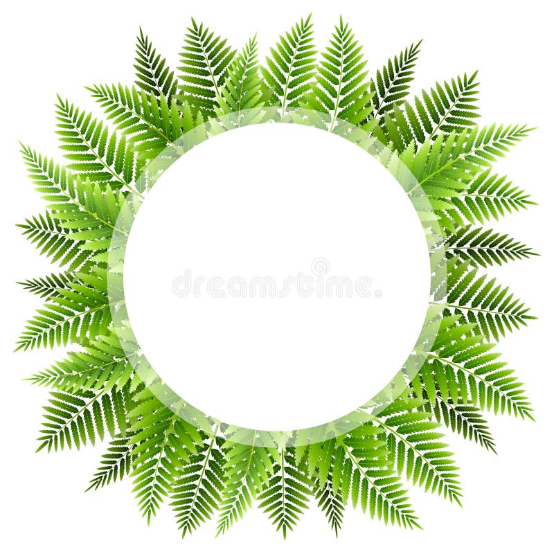 Green fern leaves border stock vector. Illustration of botanic - 144454631