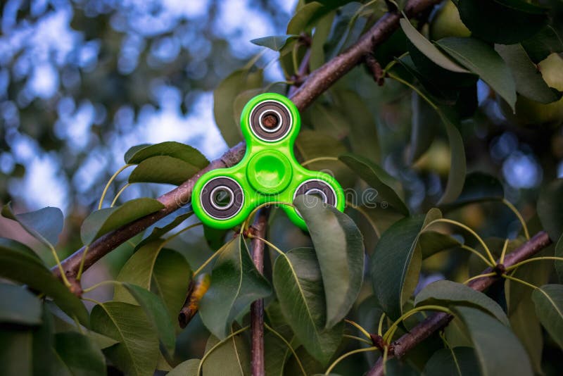 Green Fidget Spinner Hanging Tree Stock Photos - Free & Royalty-Free ...