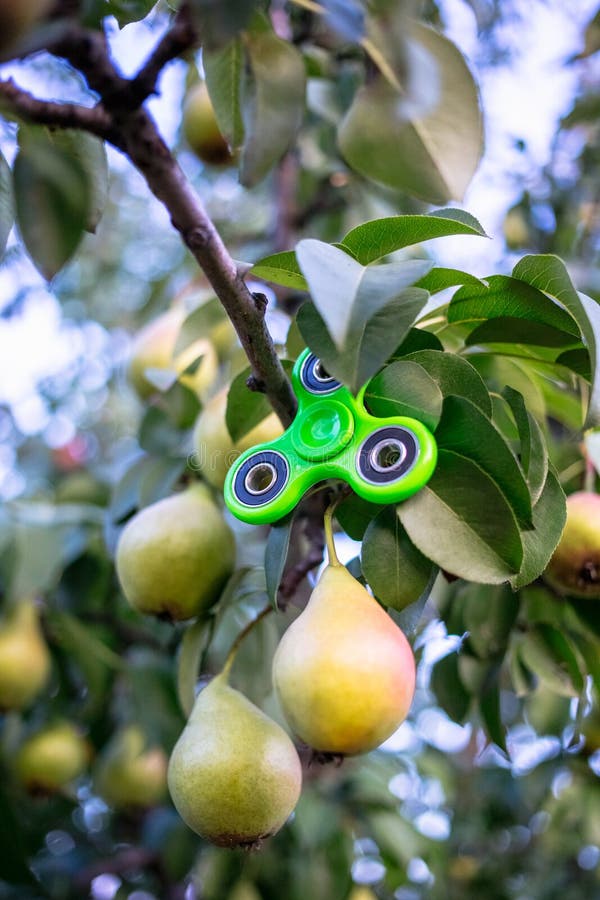Fidget Spinner Hanging on a Pear Tree Stock Image - Image of anxiety ...