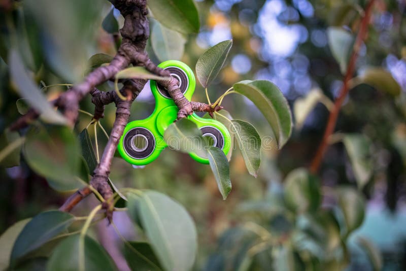 Green Fidget Spinner Hanging Tree Stock Photos - Free & Royalty-Free ...
