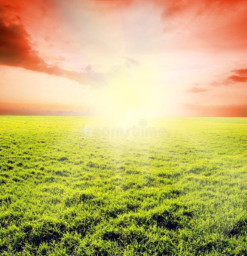 Green field stock photo. Image of nature, green, grassland - 12888786