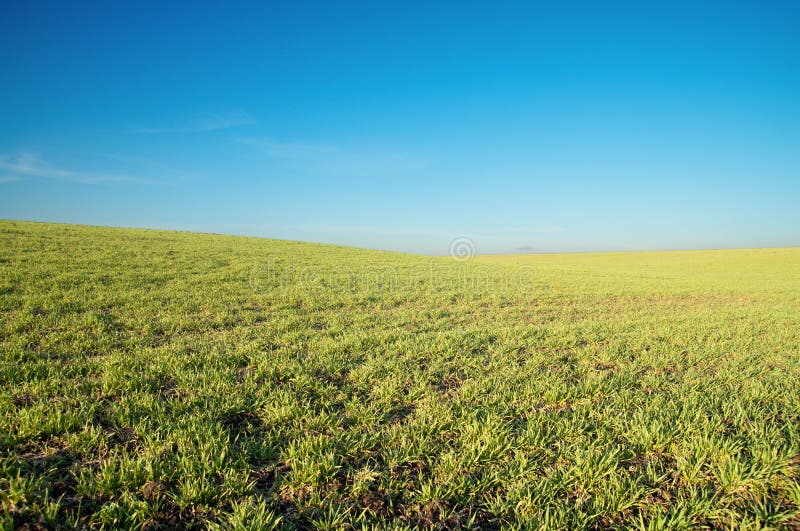 Wide Open Prairie with Lush Green Grass Stock Photo - Image of ...