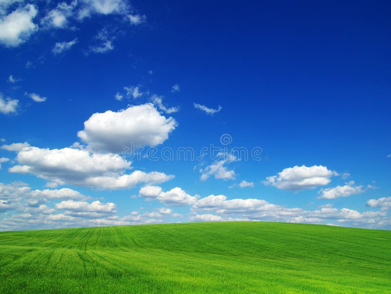 Green field stock photo. Image of clear, idyllic, grassland - 38046698
