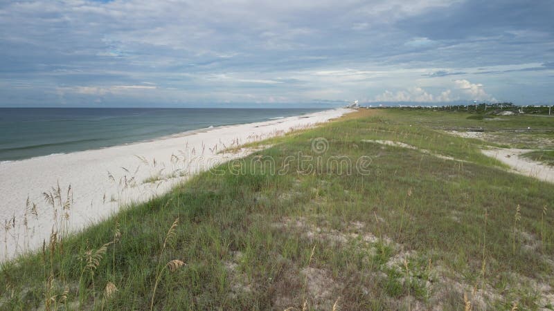 Green Field Against the Sandy Florida Beach Stock Video - Video of ...
