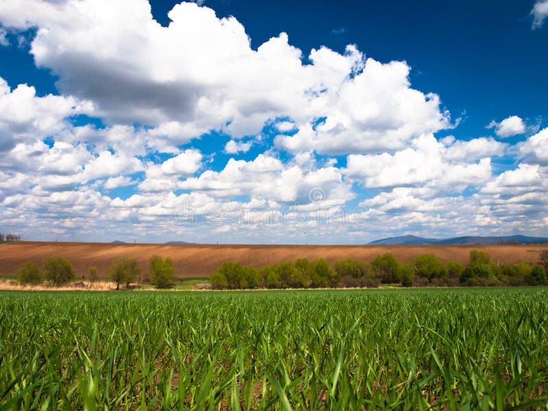 Green field background stock image. Image of fresh, grassland - 29542119