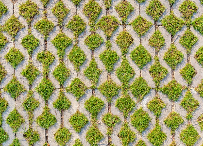 37+ Concrete pathway texture Free Stock Photos - StockFreeImages