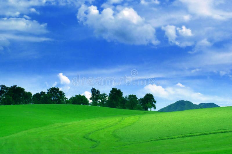 Green Field on a Beautiful Day Stock Photo - Image of business, fluffy ...