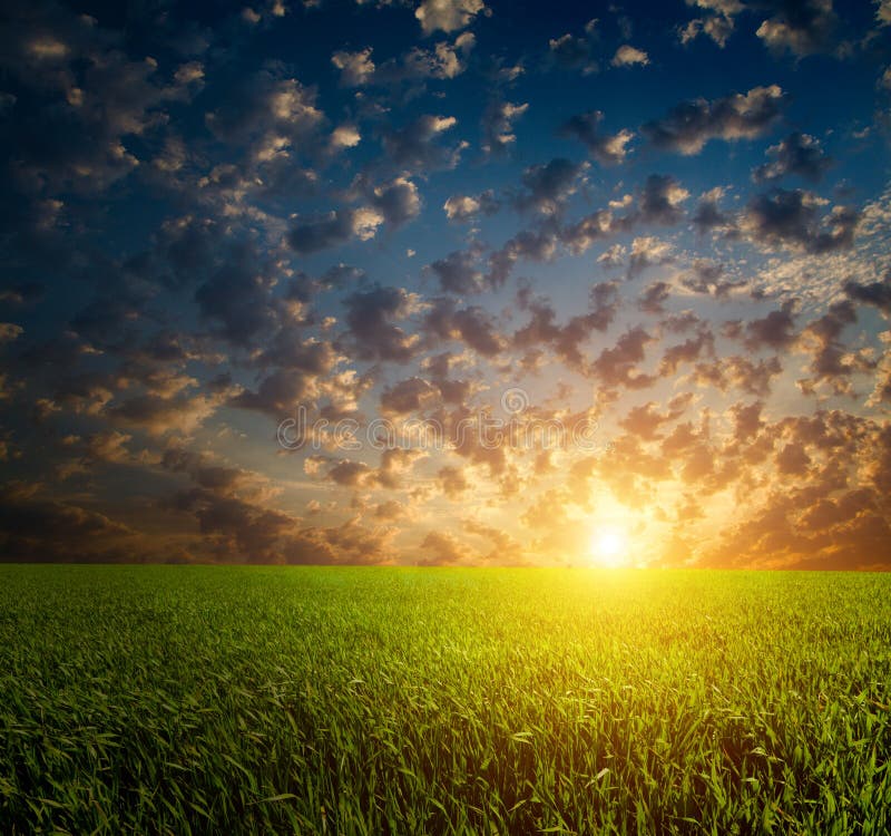 Green Field and Beautiful Sunset Stock Photo - Image of meadow, farm ...