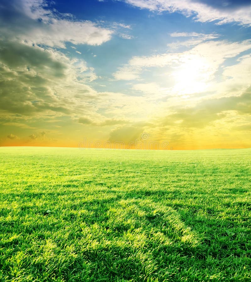 Green Field During Sunset Picture. Image: 119467679