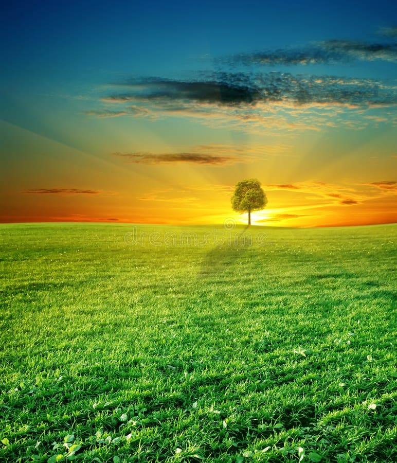 Green Field and Beautiful Sunset Stock Photo - Image of meadow, farm ...