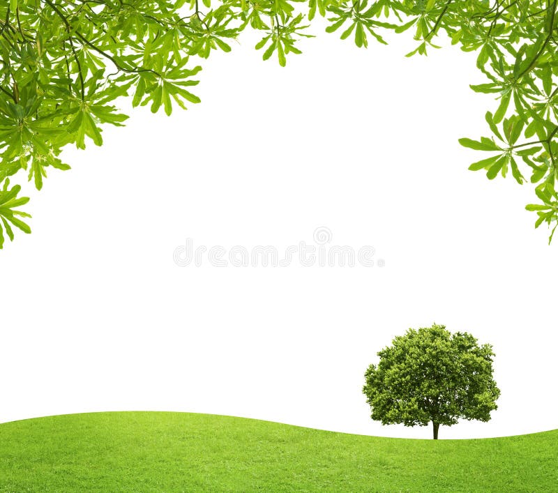 560+ Big field tree Free Stock Photos - StockFreeImages