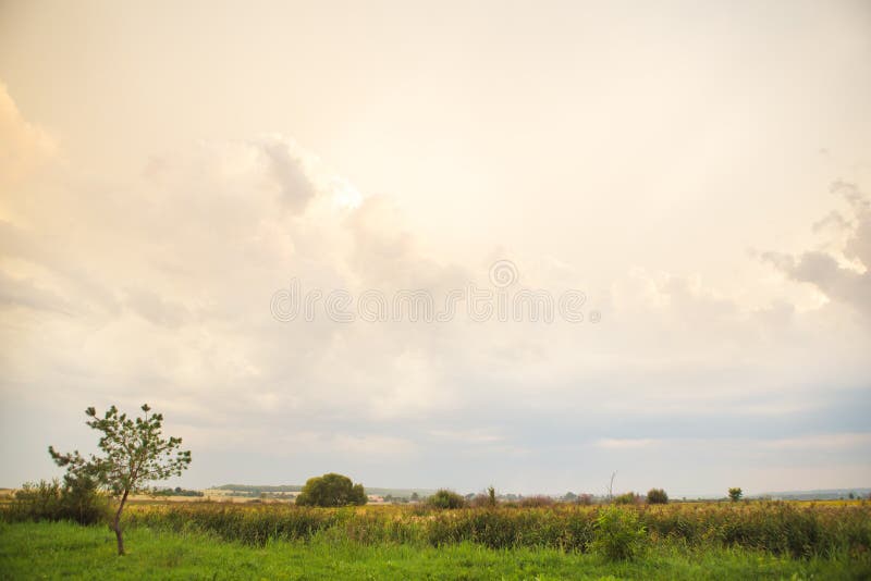 Green Field and Big White Clouds, Summer Sunset Stock Photo - Image of ...