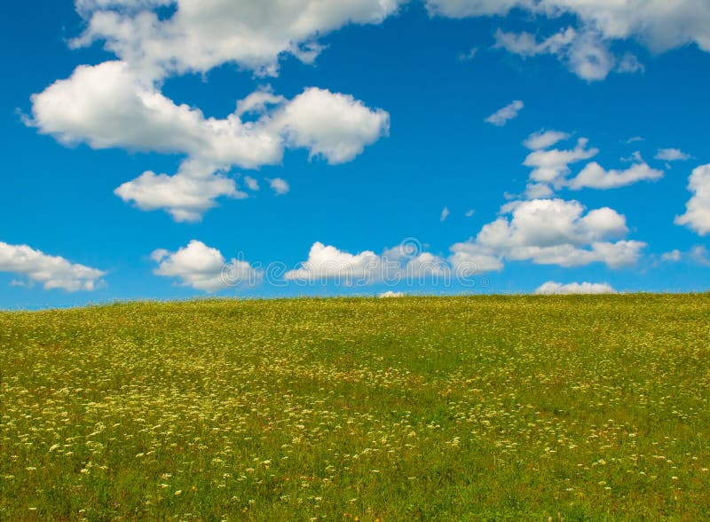 Green Field with Blooming Flowers Stock Image - Image of clouds, rural ...