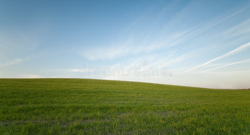 Green Field and Blue Cloudy Sky Environment Stock Image - Image of ...
