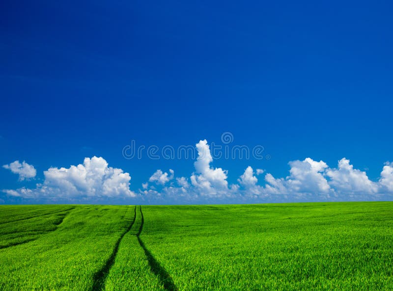 Green field with blue stock image. Image of shore, chair - 262895039