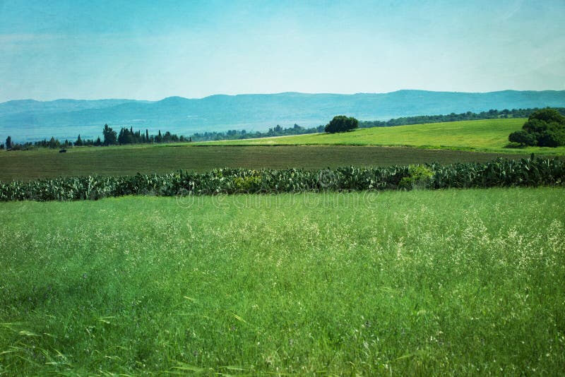 Green Field with Blue Mountains in the Countryside Stock Image - Image ...
