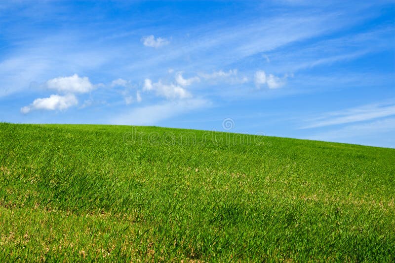 Green field with blue sky stock image. Image of country - 13914591
