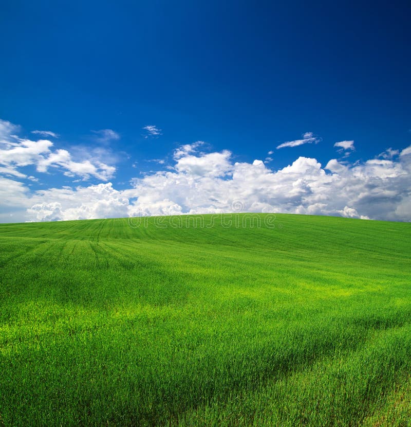 Green field stock photo. Image of field, farming, agriculture - 34426810
