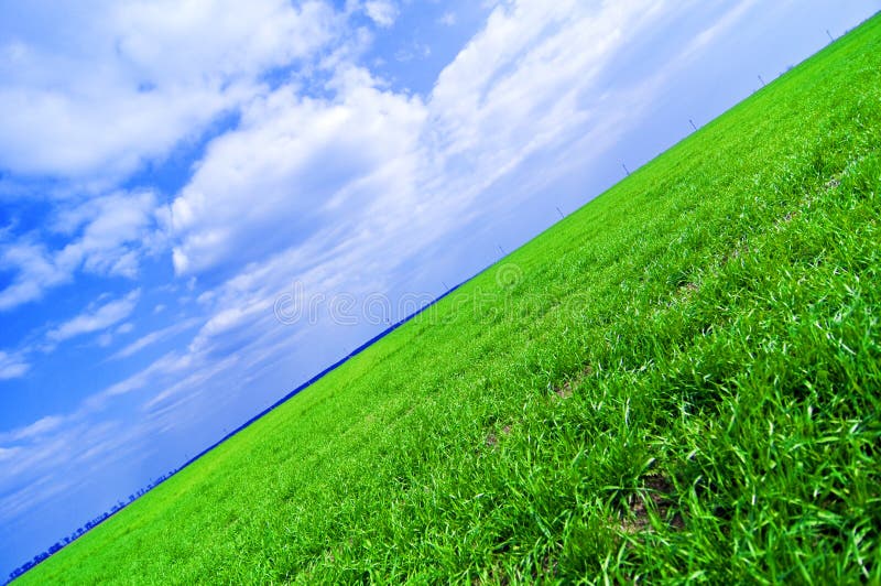 Green field fertile land stock image. Image of agriculture - 2506117