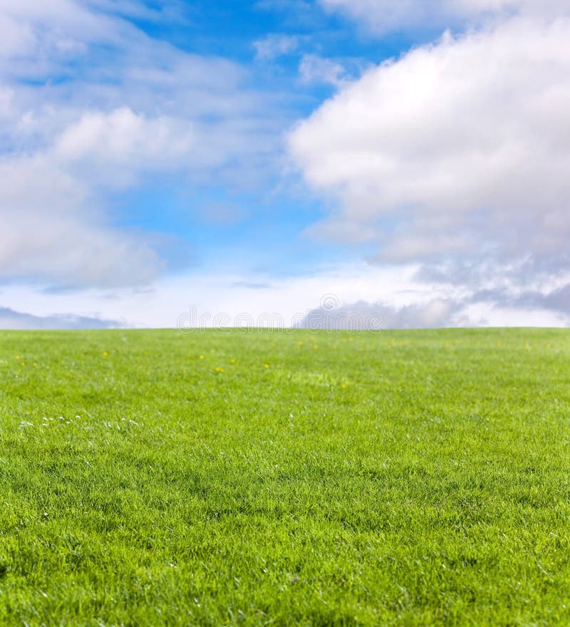 Green field and blue sky stock photo. Image of environment - 5549688
