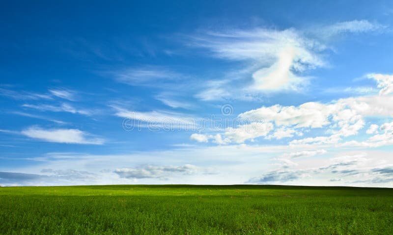 Green field and blue sky stock image. Image of blue, nature - 6458025
