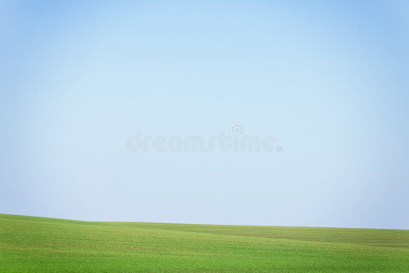 Green Field with Blue Sky As Background Stock Photo - Image of ...