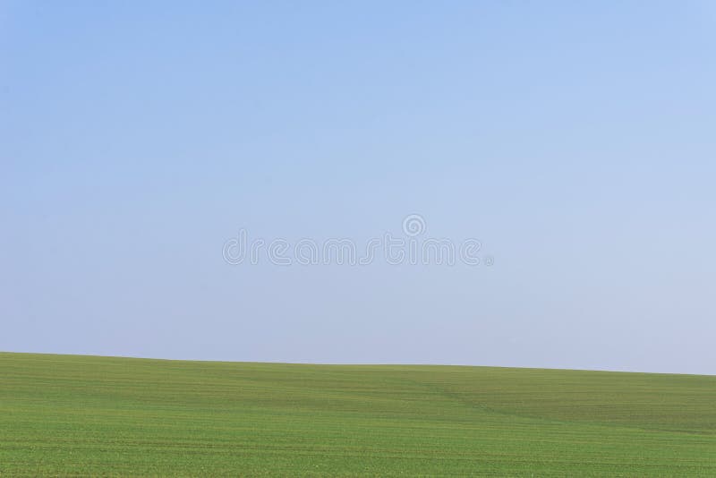 Green Field with Blue Sky As Background Stock Photo - Image of horizon ...