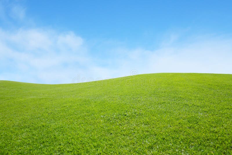 Green field with blue sky stock image. Image of field - 46595291